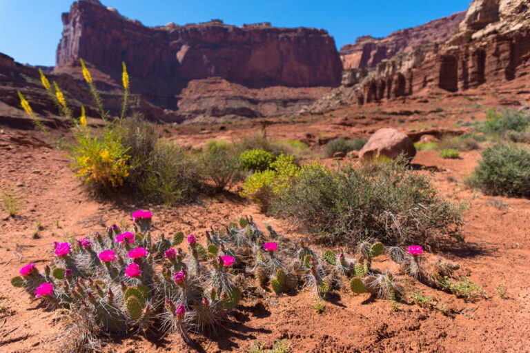 Visiting Utah: Spring Might Be the Best Time to Come