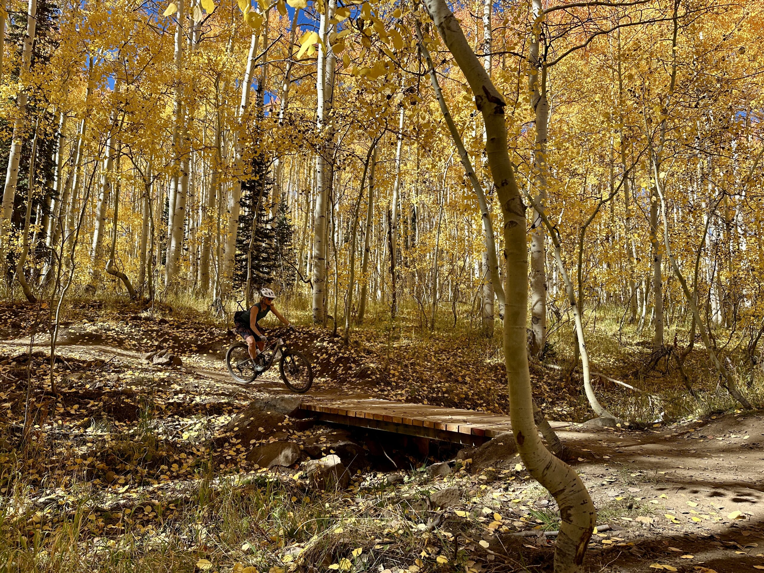 Fall Mountain Bike Ride with Scenic Foliage on Bonanza Loop Trail